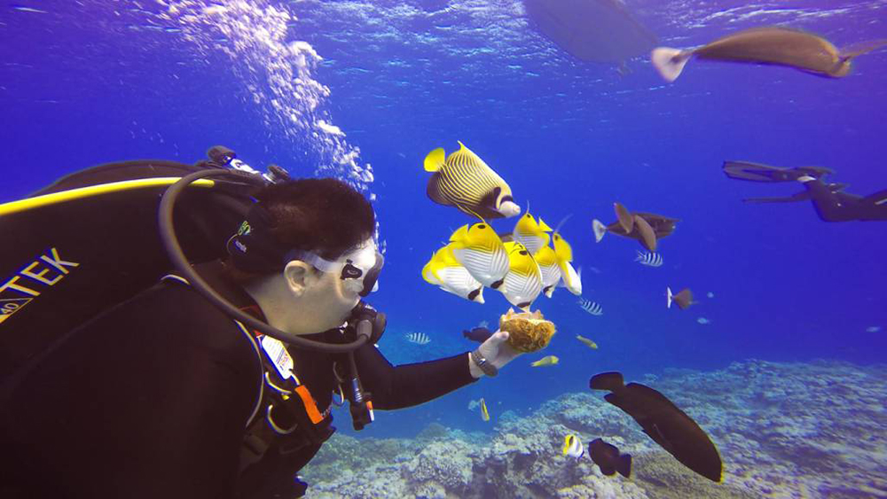 The Best Activities & Tours in Aitutaki